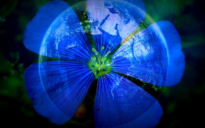 Stephen Buhner Plant Intelligence And The Imaginal Realm Part One 6809